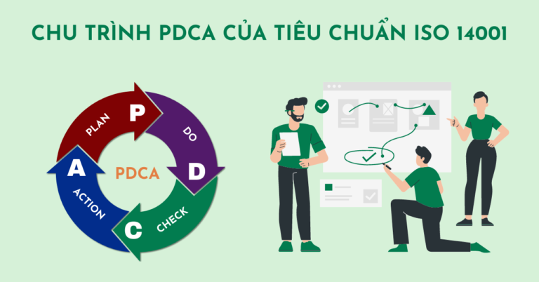 Chu trình PDCA của tiêu chuẩn ISO 14001 - Tỷ lệ đạt chứng nhận 100%